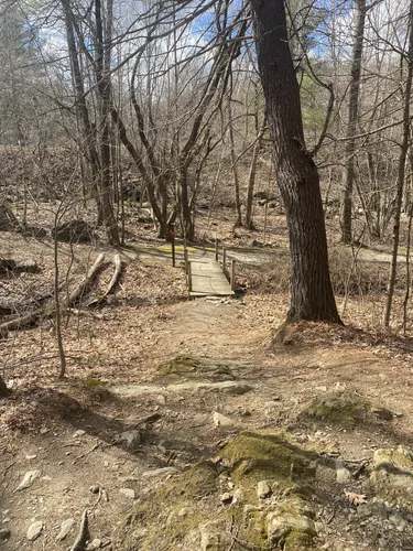 Best Hikes and Trails in Benson Park | AllTrails