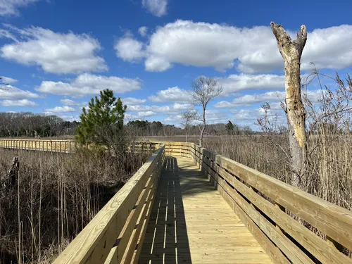 Best Hikes and Trails in Prime Hook State Wildlife Management Area ...