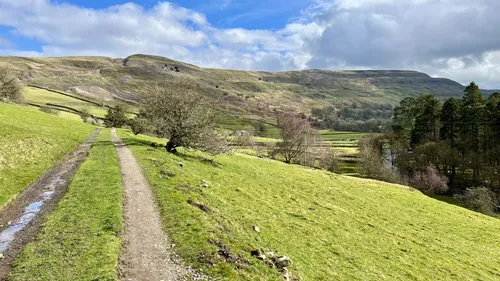 10 Best Trails, Walks, and Paths in Reeth | AllTrails