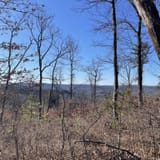 Buck Ridge Trail, Pennsylvania - 144 Reviews, Map | AllTrails