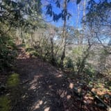 Big Lost Cove Cliffs Trail (271), North Carolina - 598 Reviews, Map ...