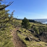Coyote Wall Loop Trail, Washington - 2,638 Reviews, Map | AllTrails