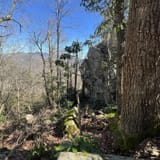 Big Lost Cove Cliffs Trail (271), North Carolina - 598 Reviews, Map ...