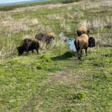 Bolen Bluff Trail, Florida - 945 Reviews, Map | AllTrails