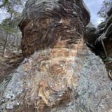 Indian Point Trail, Illinois - 1,606 Reviews, Map | AllTrails