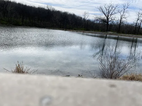 Best Lake Trails in Willard | AllTrails