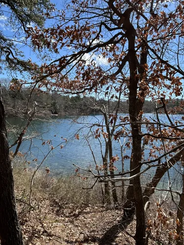 Best Hikes and Trails in Long Pond Conservation Area | AllTrails