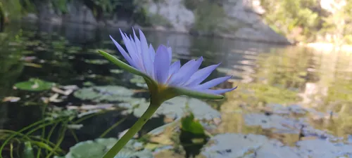 Best Hikes and Trails in Groendal Wilderness Area | AllTrails