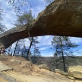 Sky Bridge Trail, Kentucky - 2,319 Reviews, Map | AllTrails
