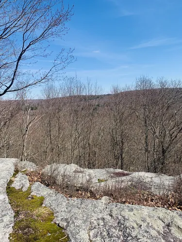 Best Easy Trails in Natural Lands' Bear Creek Preserve | AllTrails