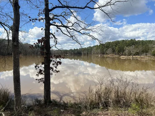 Best Forest Trails in Chester | AllTrails