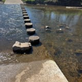 Cub Run Stream Valley Trail, Virginia - 453 Reviews, Map | AllTrails