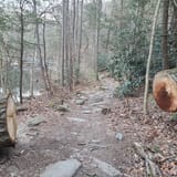 Wissahickon Gorge North Loop, Pennsylvania - 3,732 Reviews, Map | AllTrails