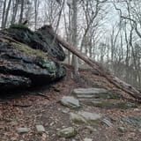 Wissahickon Gorge North Loop, Pennsylvania - 3,682 Reviews, Map | AllTrails