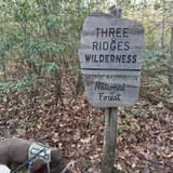 Hanging Rock, Virginia - 1,145 Reviews, Map | AllTrails