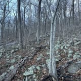 Hanging Rock, Virginia - 1,145 Reviews, Map | AllTrails