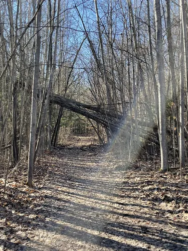 Best Hikes and Trails in Maplehurst Natural Area | AllTrails