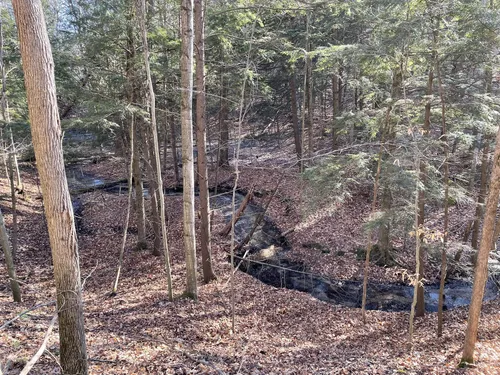 Best Hikes and Trails in Maplehurst Natural Area | AllTrails