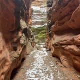 Spring Creek Canyon, Utah - 1,210 Reviews, Map | AllTrails