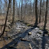 Hopewell Lake Loop, Pennsylvania - 1,145 Reviews, Map | AllTrails