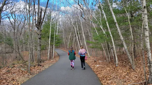 Best Short Trails in Breakheart Reservation | AllTrails