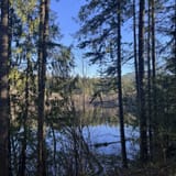 Tradition Lake Loop Trail, Washington - 1,587 Reviews, Map | AllTrails