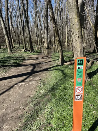 Best Walking Trails in Lockbourne | AllTrails