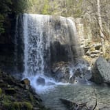 Collins Gulf Trail to Horsepound Falls and Collins River, Tennessee ...