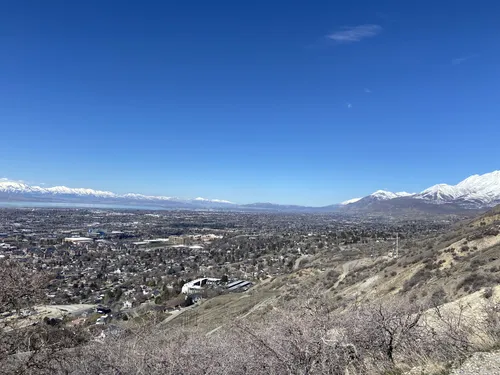 10 Best Snowshoeing Trails in Provo | AllTrails