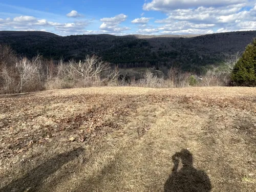 Best Hikes and Trails in Tyringham Cobble | AllTrails