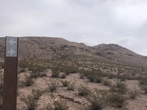 Best Views Trails in Dona Ana | AllTrails