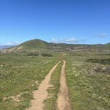 Kortum Trail, California - 291 Reviews, Map | AllTrails