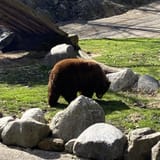 Hessian Lake Loop, New York - 903 Reviews, Map | AllTrails