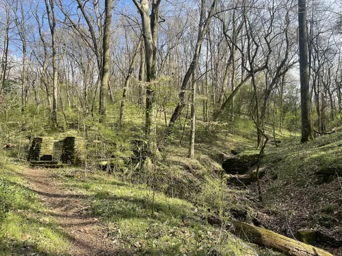 Best Hikes and Trails in Muscle Shoals | AllTrails