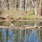 Sac River Trail, Missouri - 557 Reviews, Map | AllTrails