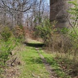 Sac River Trail, Missouri - 557 Reviews, Map | AllTrails