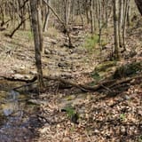 Sac River Trail, Missouri - 557 Reviews, Map | AllTrails