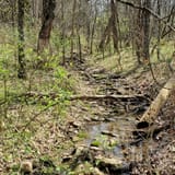 Sac River Trail, Missouri - 557 Reviews, Map | AllTrails