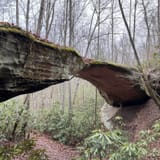 Hazard Cave and Natural Bridge Trail, Tennessee - 367 Reviews, Map ...