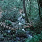 Cataract Falls Trail, California - 3,463 Reviews, Map | AllTrails