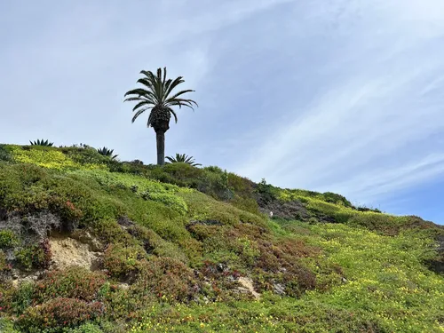 Best Hikes and Trails in Treasure Island Park | AllTrails