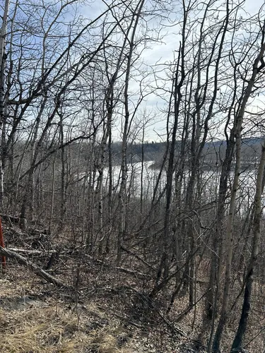 Best River Trails in Devon Voyageur Park | AllTrails