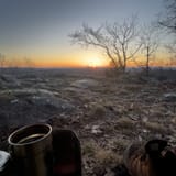 Bell Mountain Loop Trail, Missouri - 682 Reviews, Map | AllTrails