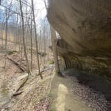 Low Gap Trail , Indiana - 1,375 Reviews, Map | AllTrails