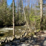 Coquitlam River Walk , British Columbia, Canada - 335 Reviews, Map ...