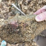 Tantiusques Loop, Massachusetts - 96 Reviews, Map | AllTrails