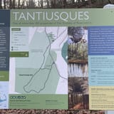 Tantiusques Loop, Massachusetts - 96 Reviews, Map | AllTrails