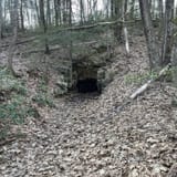 Tantiusques Loop, Massachusetts - 96 Reviews, Map | AllTrails