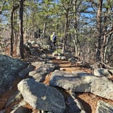 Buzzard Rock, Virginia - 1,642 Reviews, Map | AllTrails