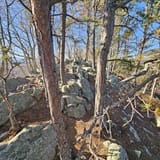 Buzzard Rock, Virginia - 1,642 Reviews, Map | AllTrails